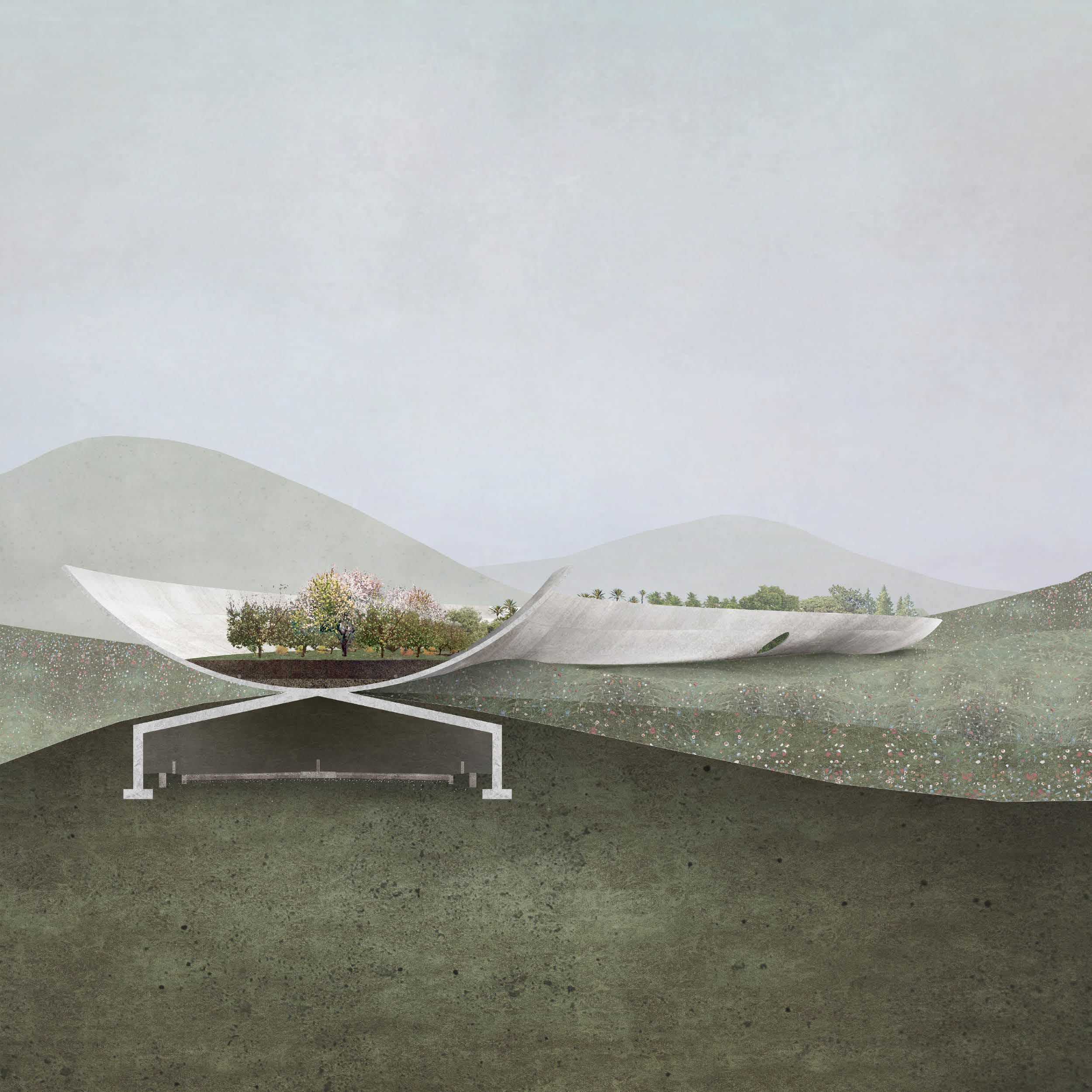 Diploma — Accademia di architettura