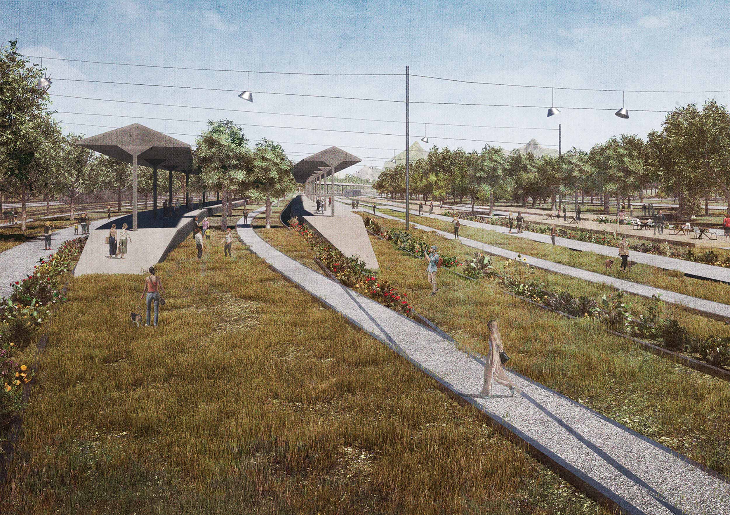 Diploma — Accademia di architettura