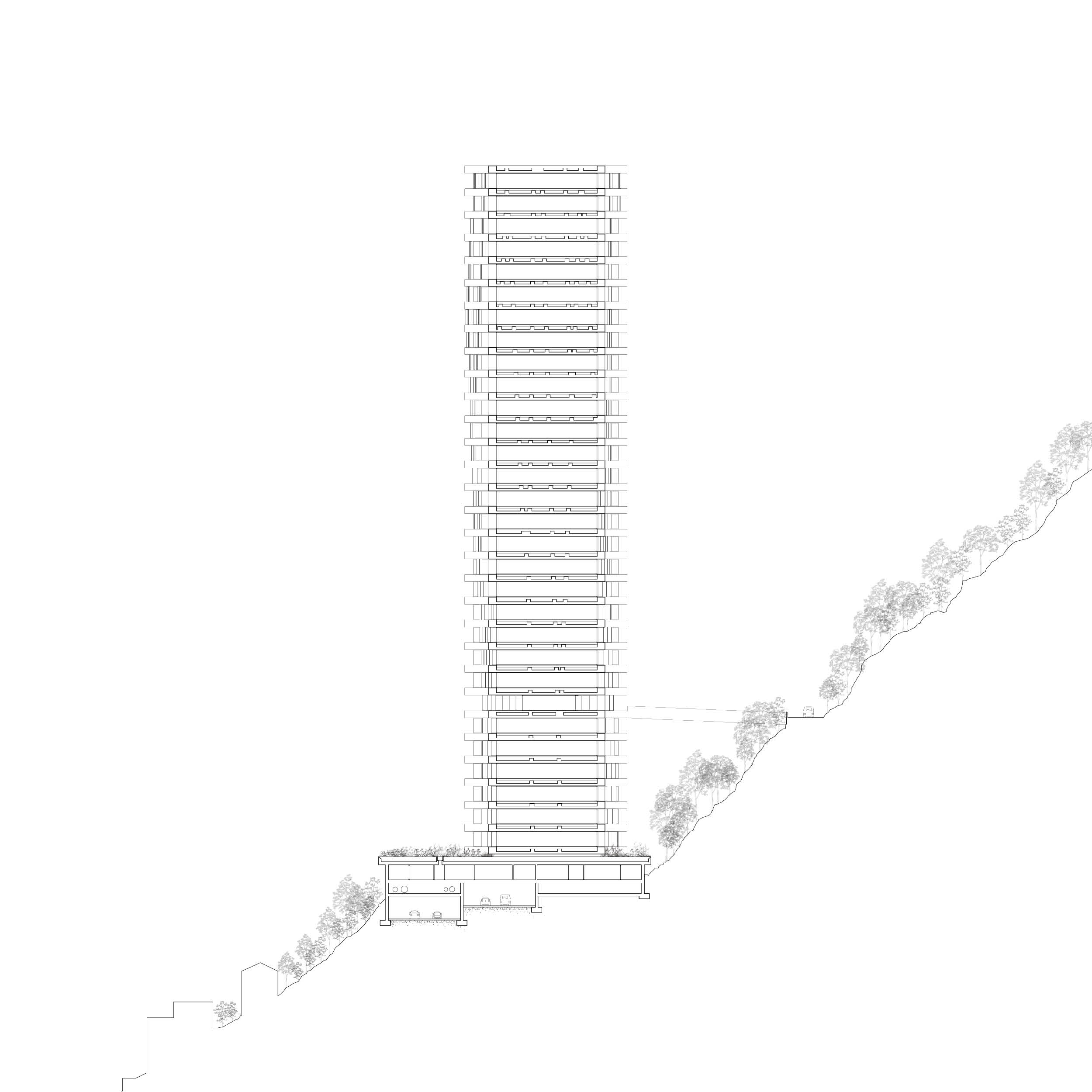 Diploma — Accademia di architettura