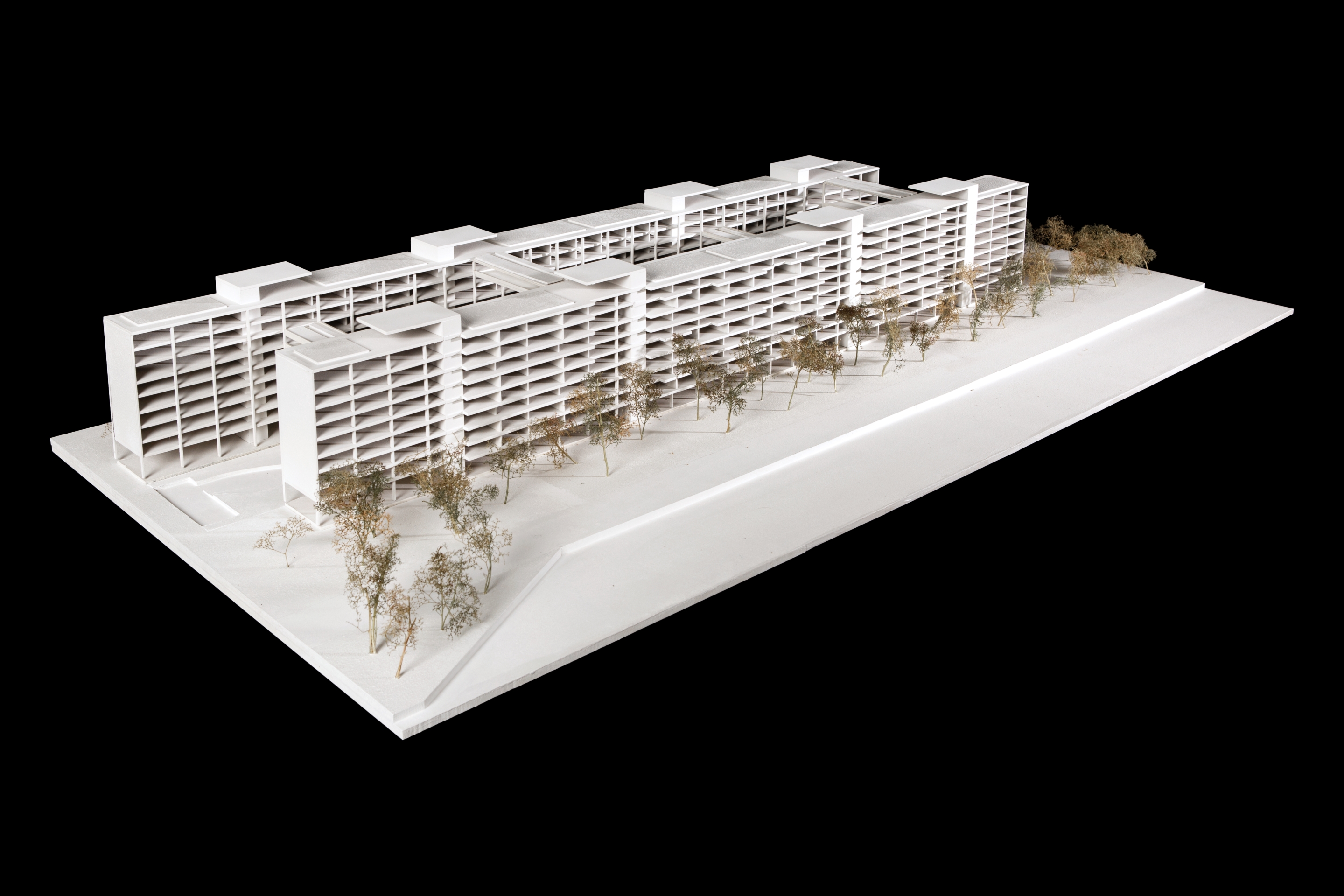 Diploma — Accademia di architettura