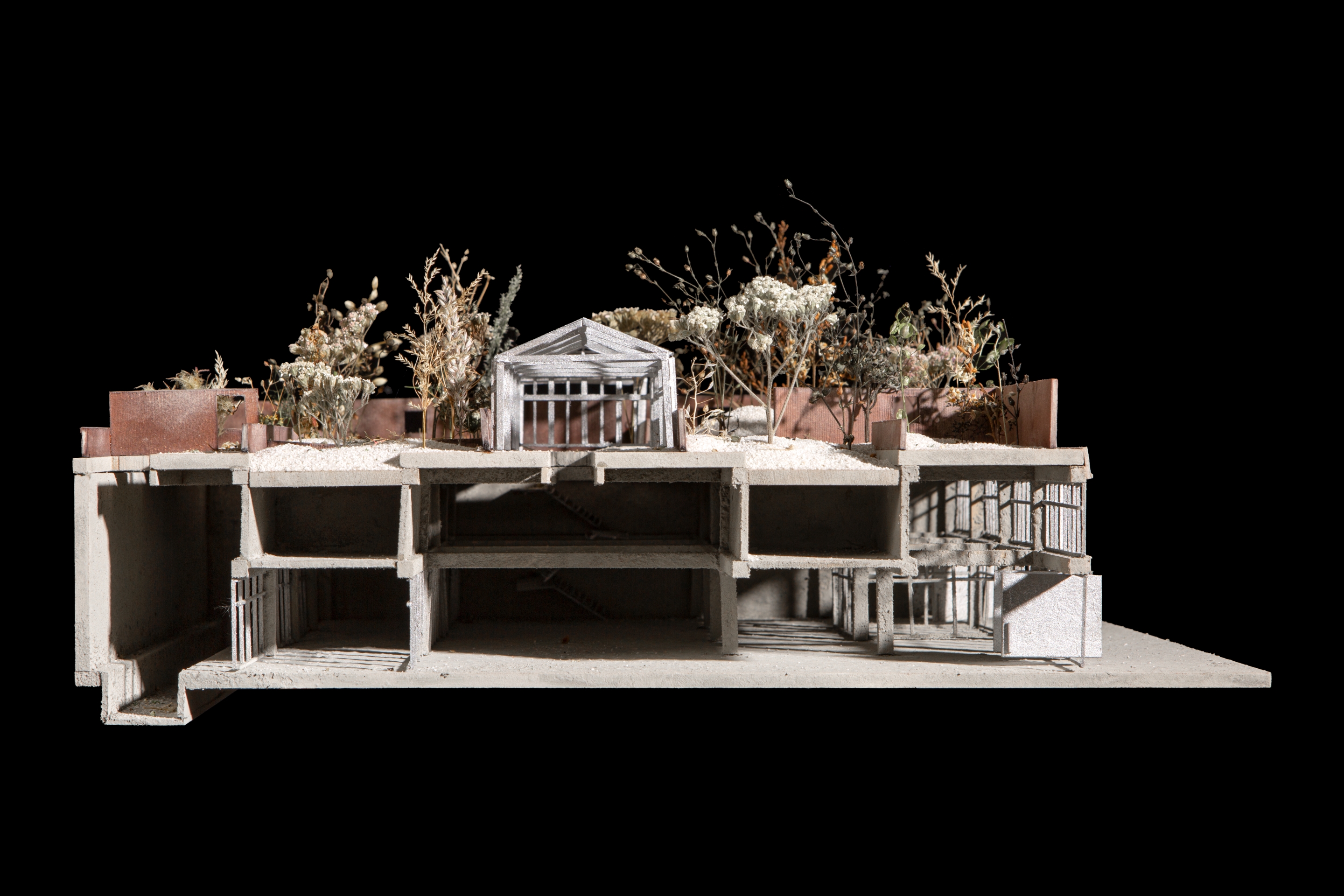 Diploma — Accademia di architettura