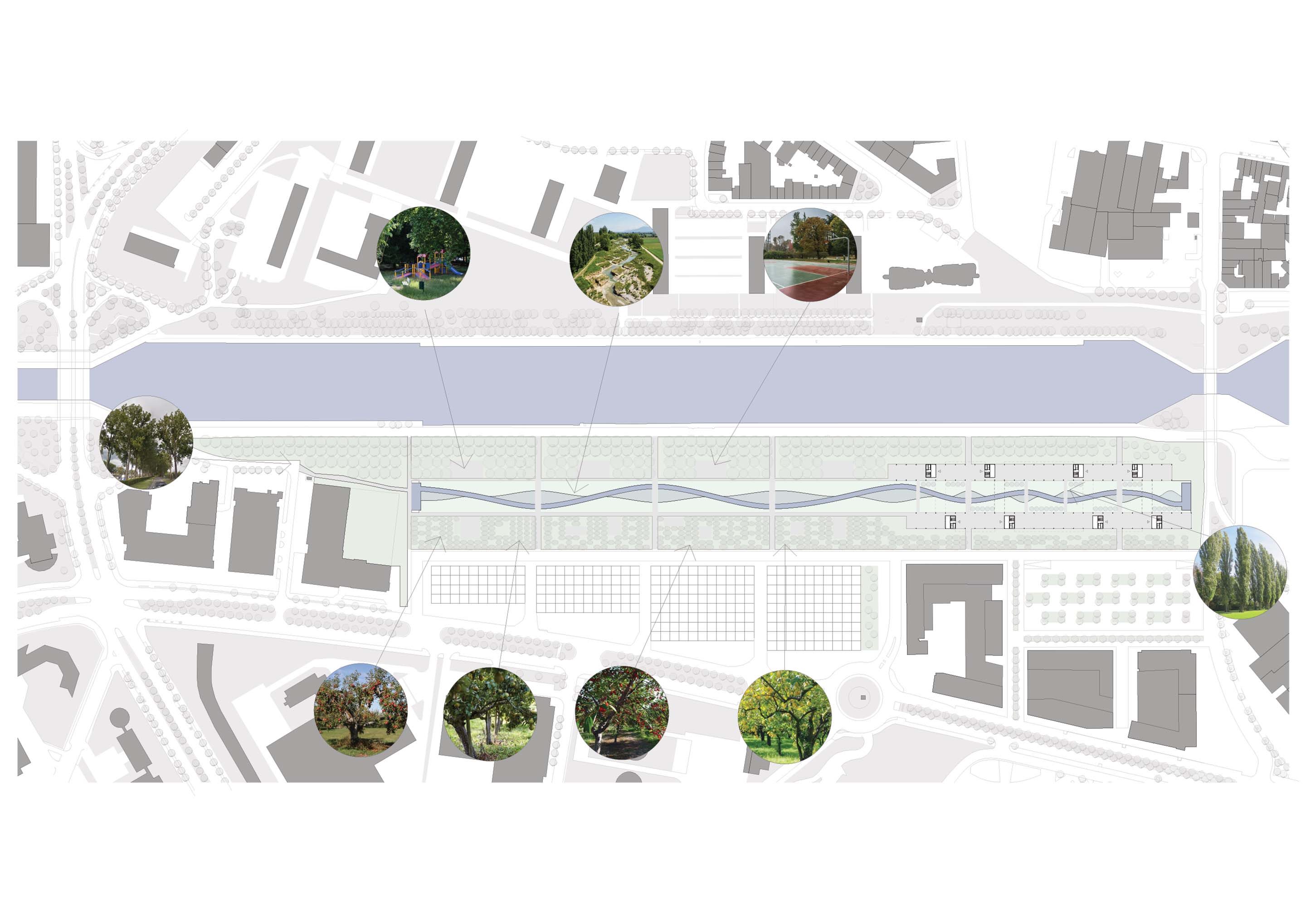 Diploma — Accademia di architettura