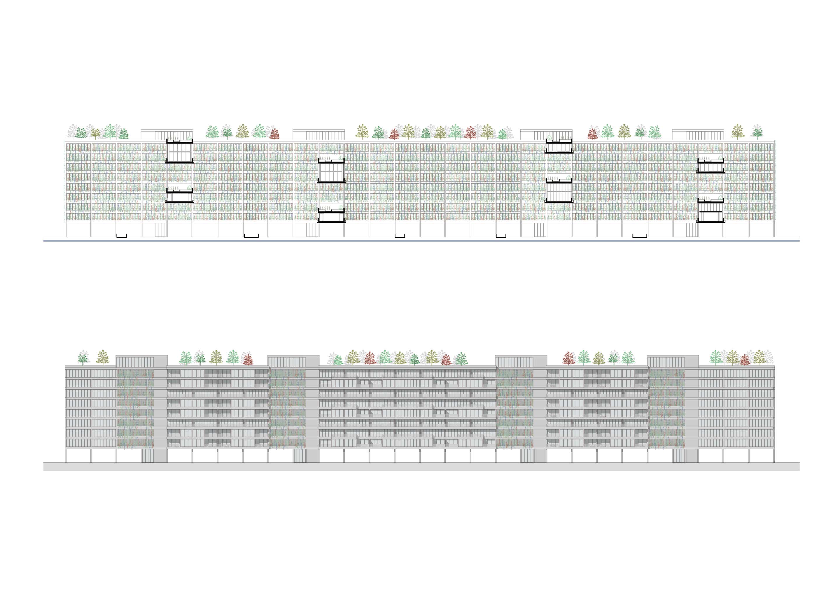 Diploma — Accademia di architettura