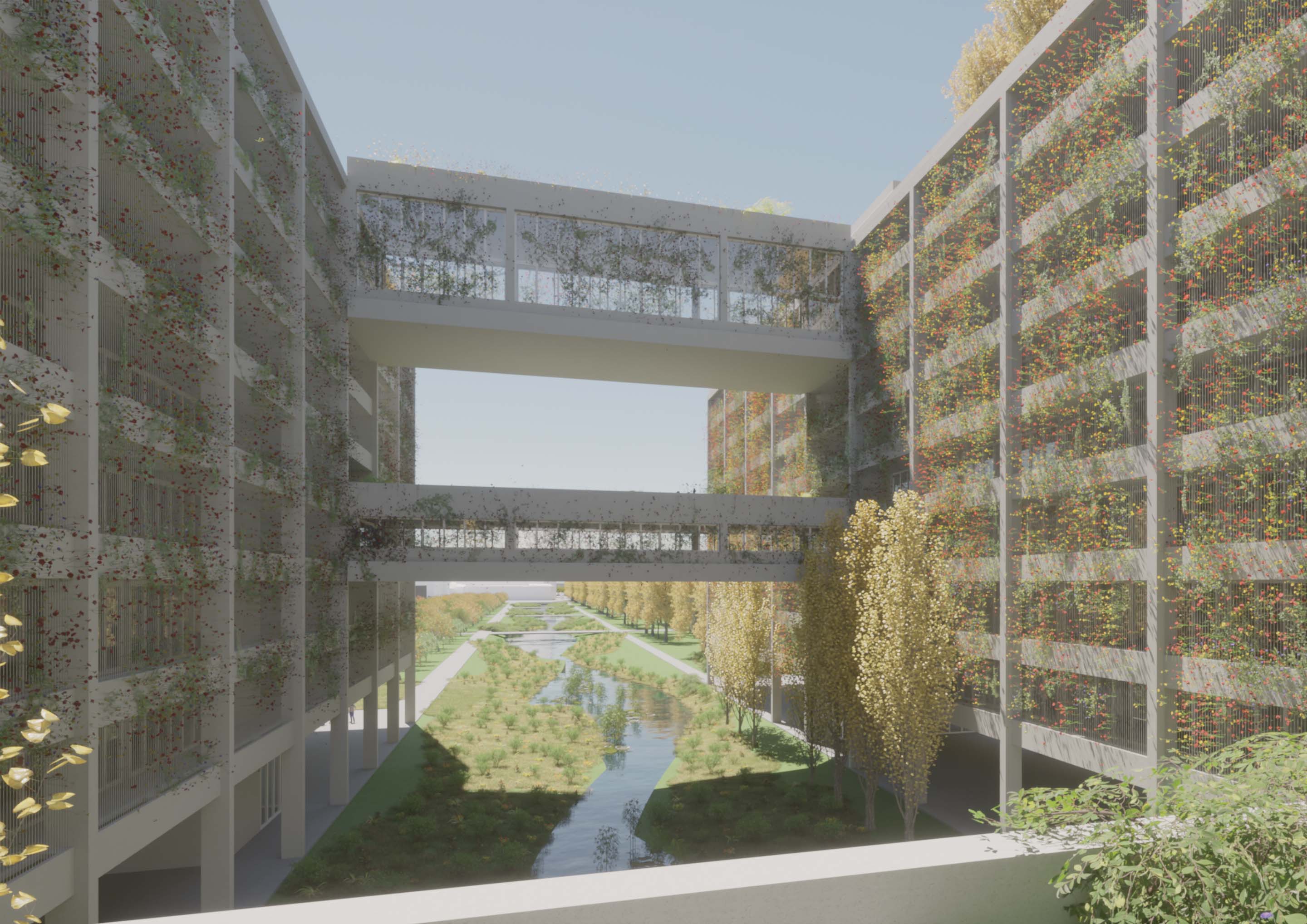 Diploma — Accademia di architettura