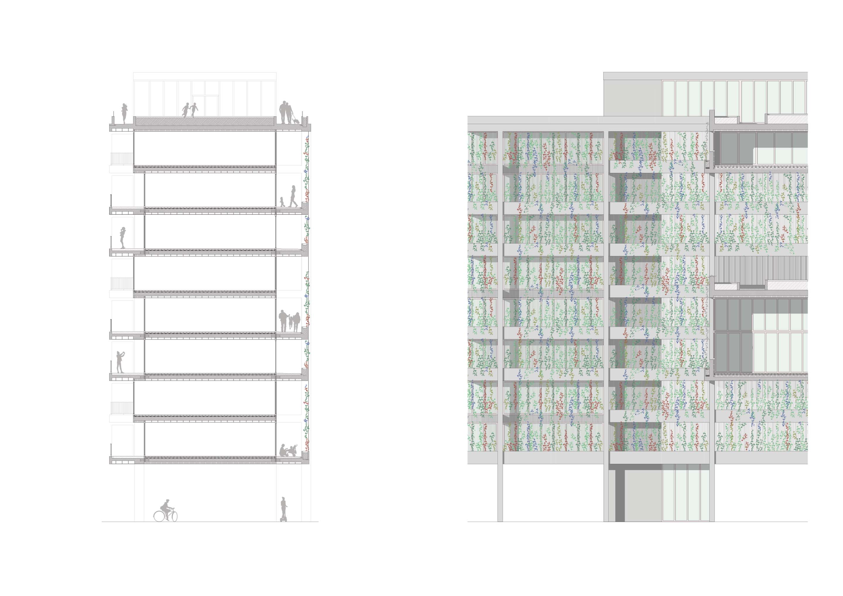 Diploma — Accademia di architettura