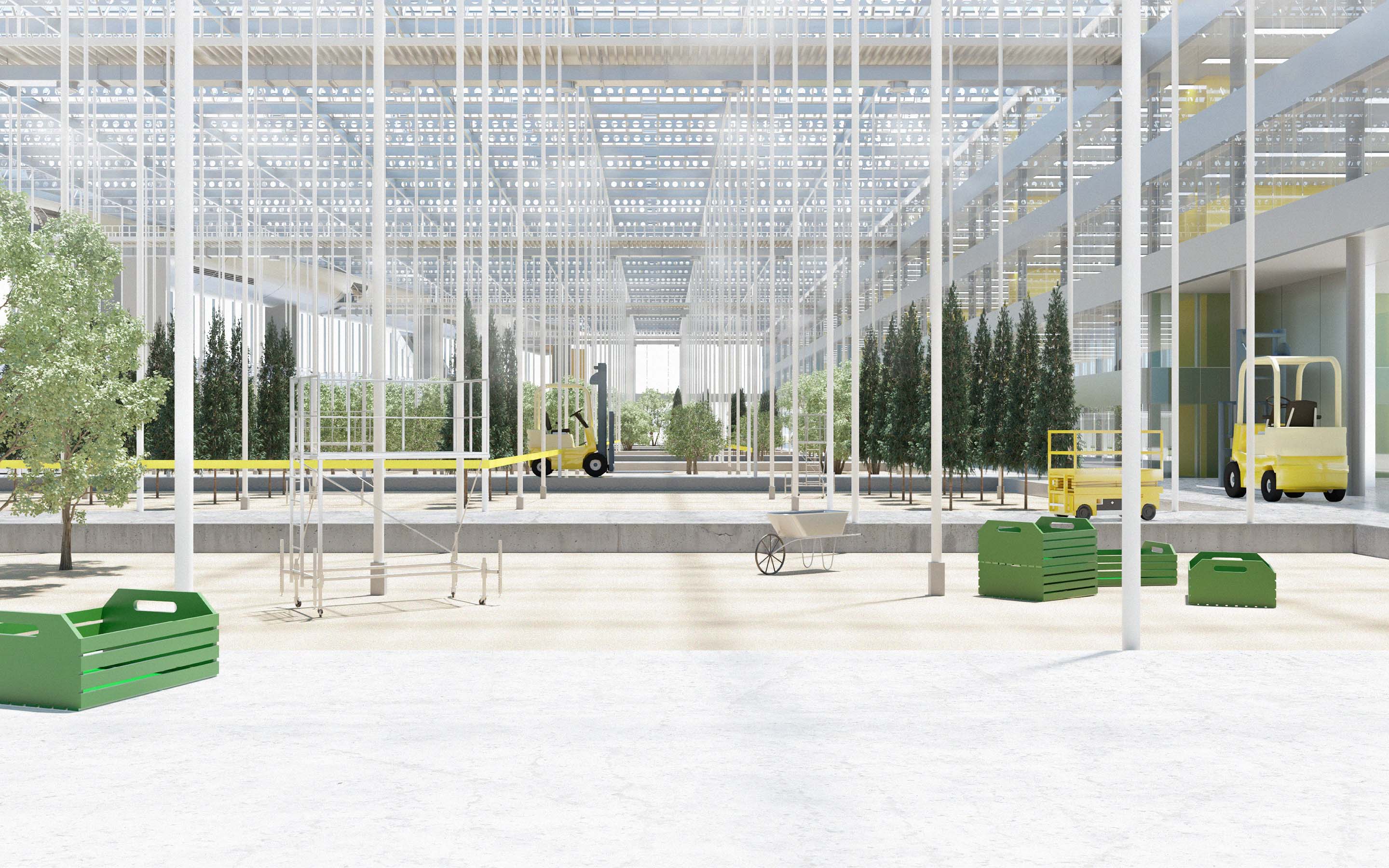Diploma — Accademia di architettura