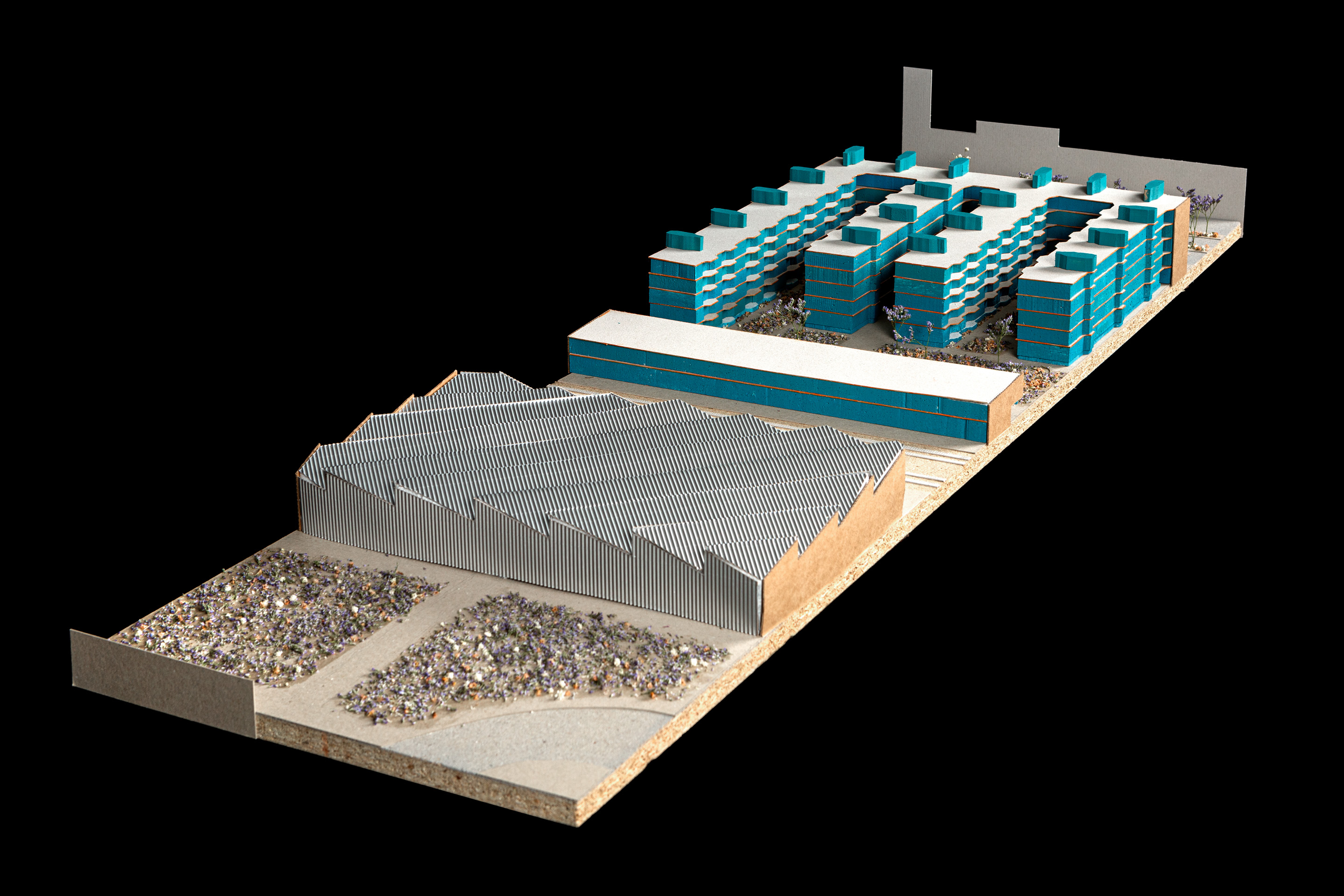 Diploma — Accademia di architettura