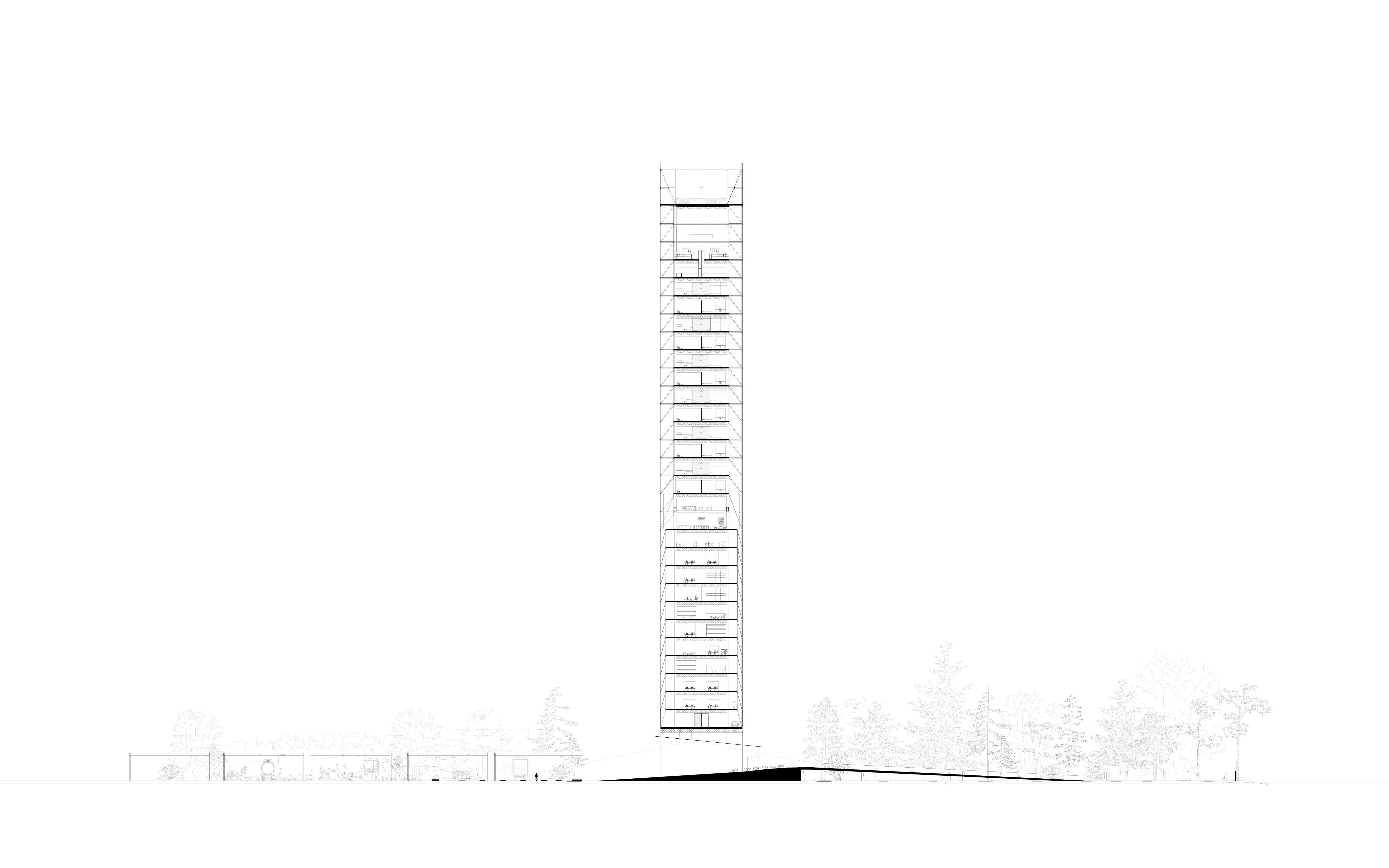 Diploma — Accademia di architettura