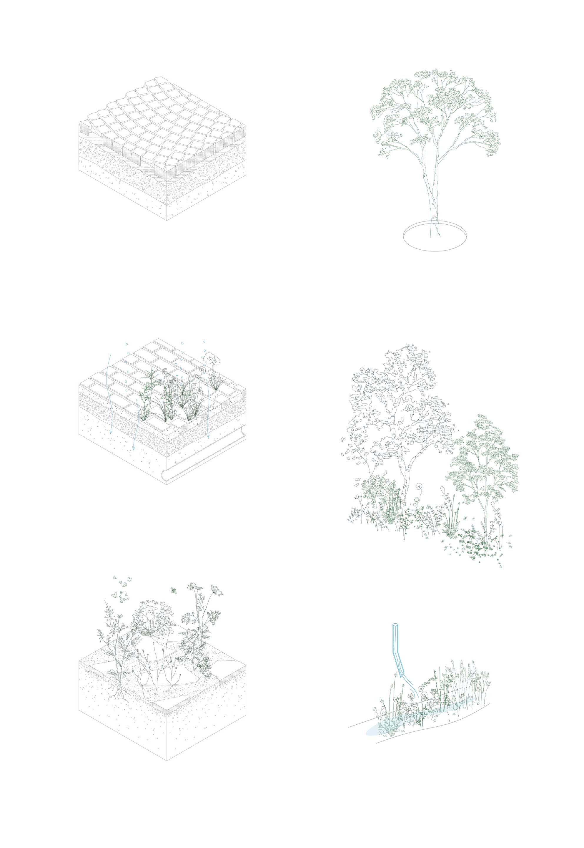 Diploma — Accademia di architettura
