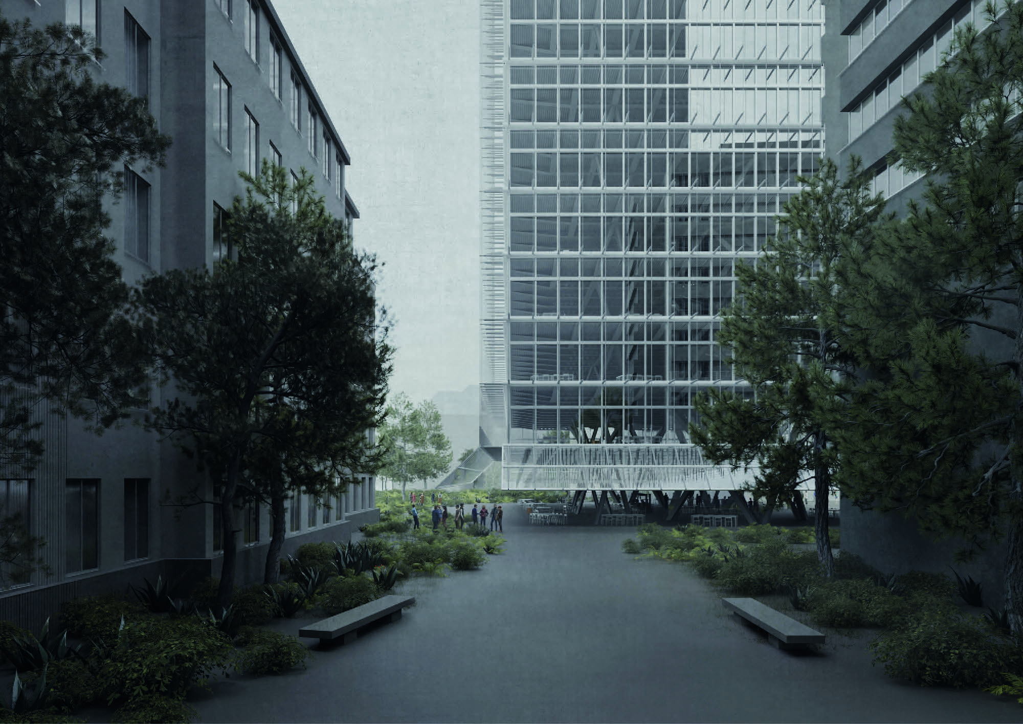 Diploma — Accademia di architettura