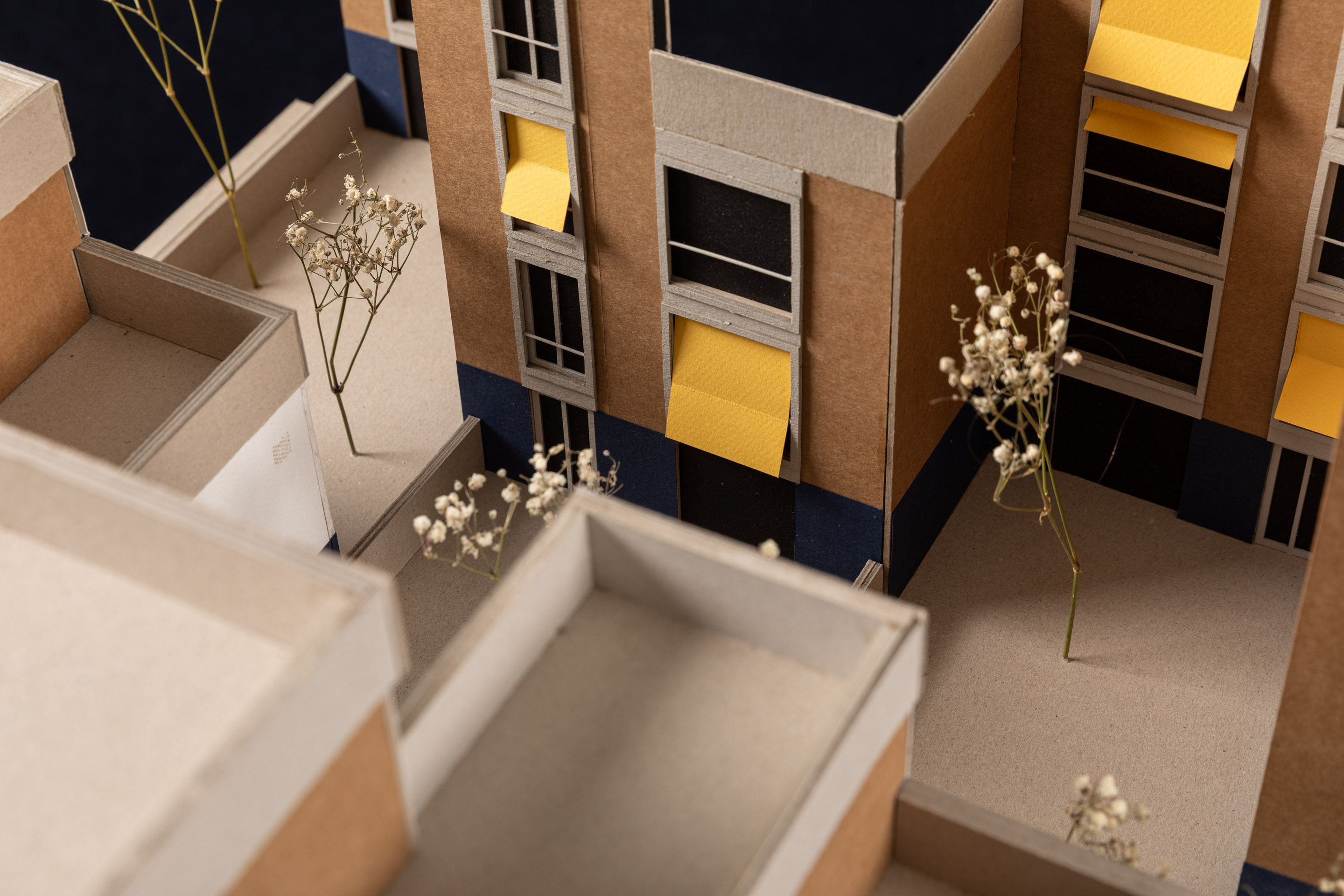 Diploma — Accademia di architettura