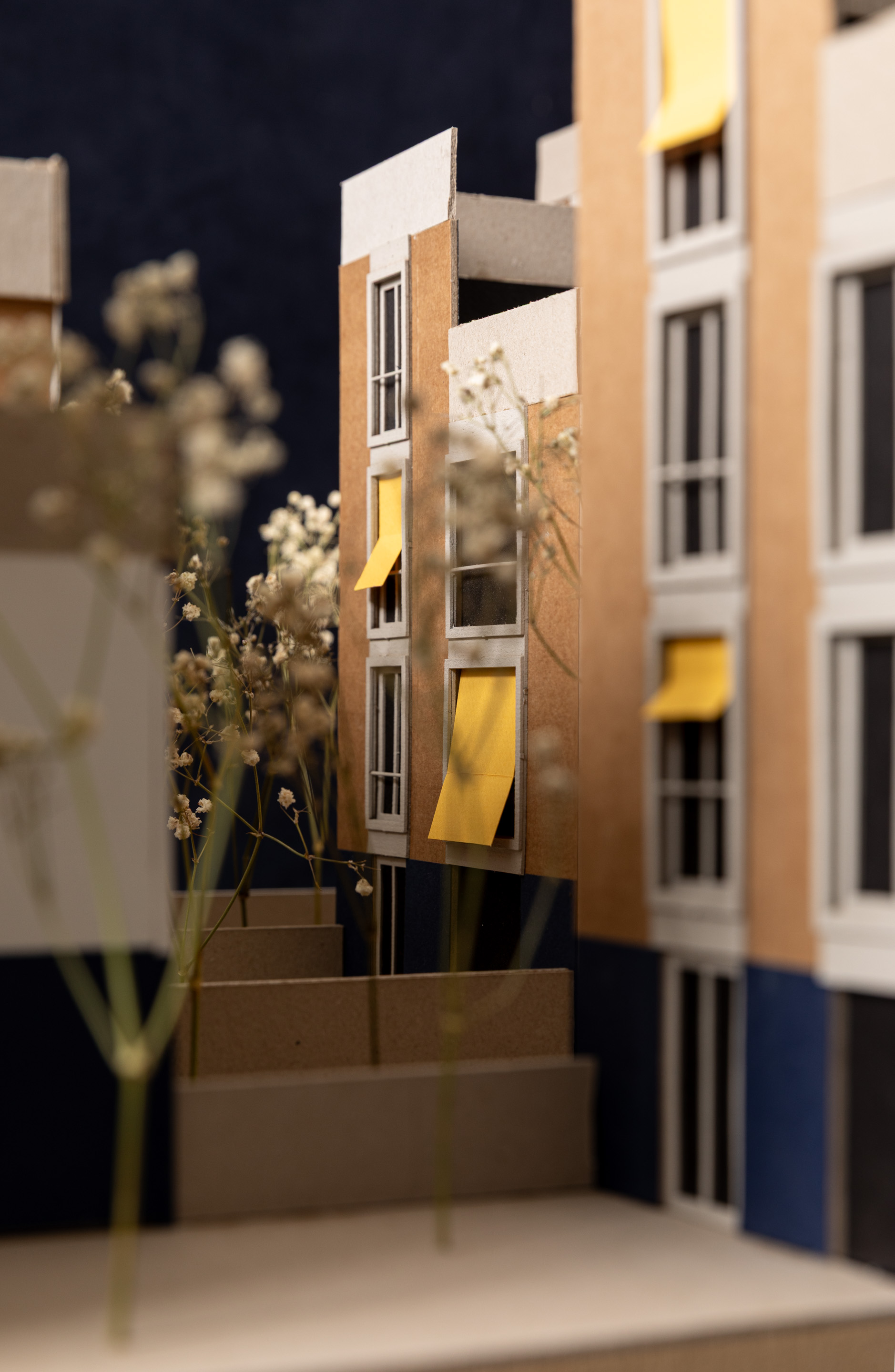 Diploma — Accademia di architettura