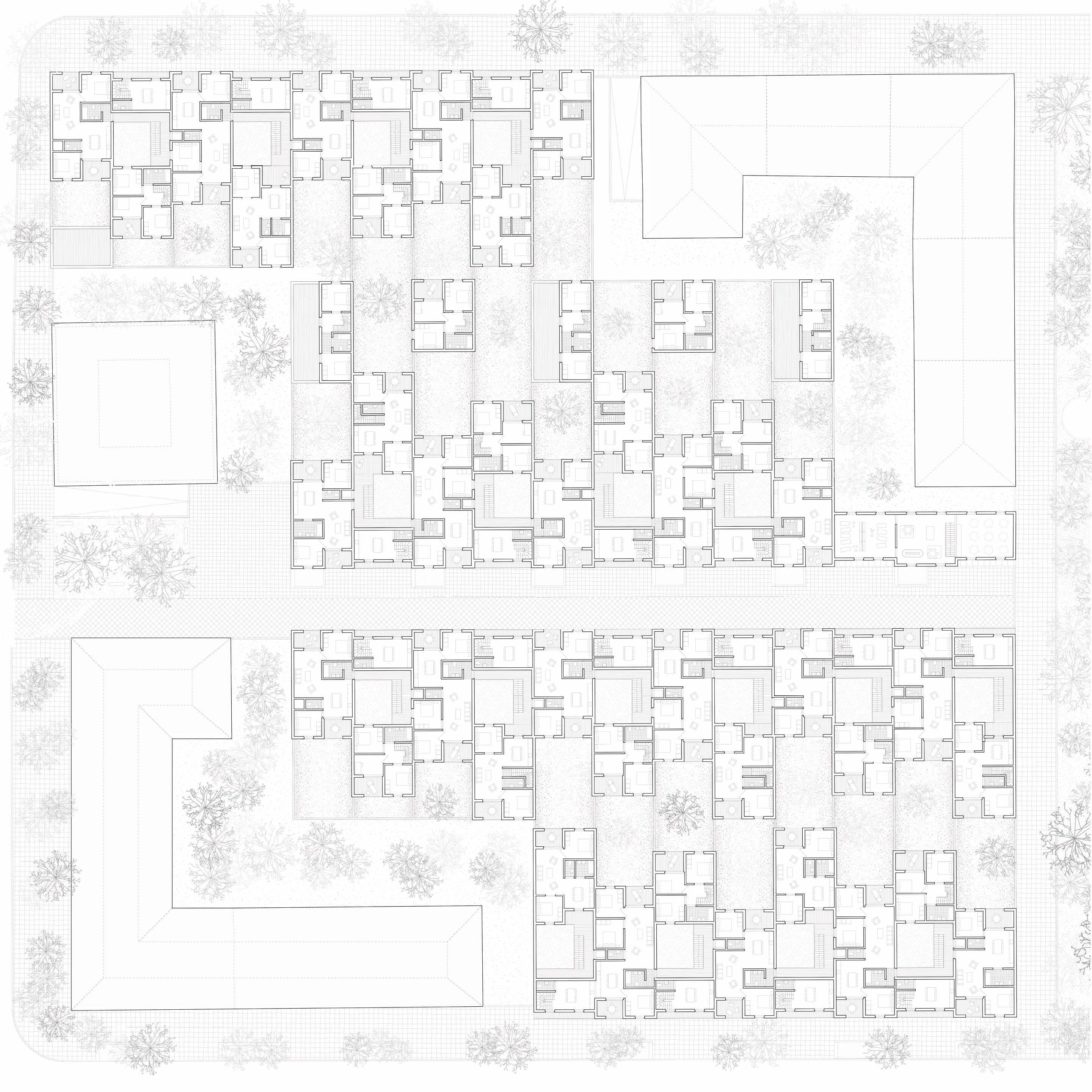 Diploma — Accademia di architettura